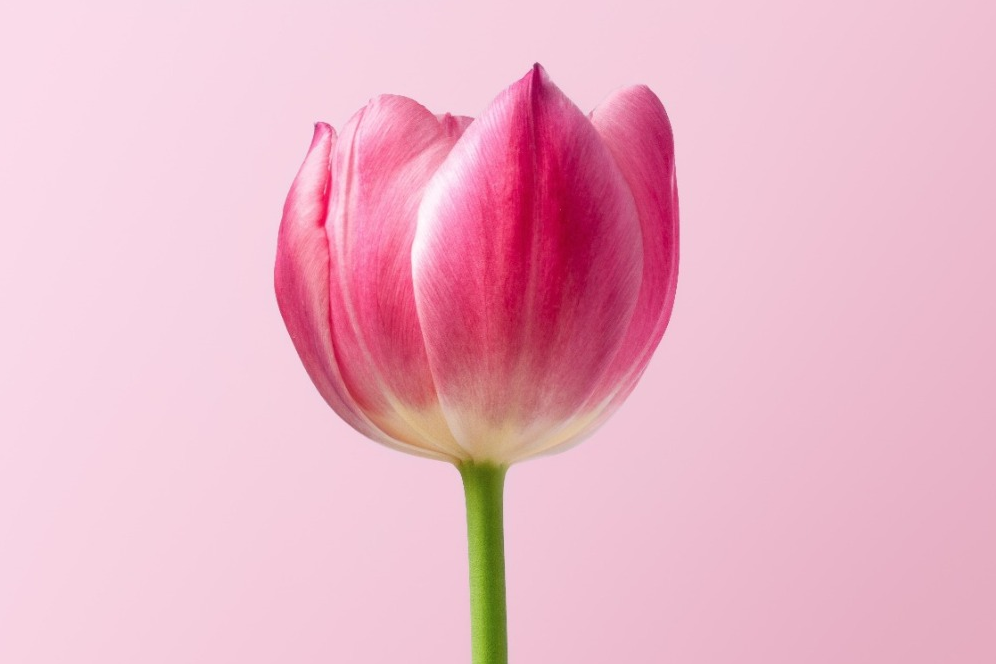 Road to Recommendation